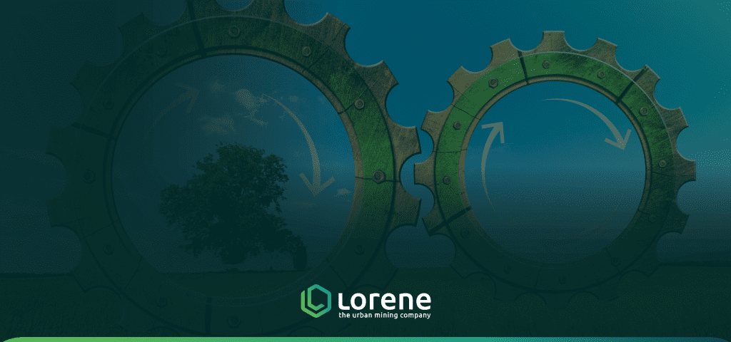 Por que a economia circular é o futuro dos negócios? - Lorene